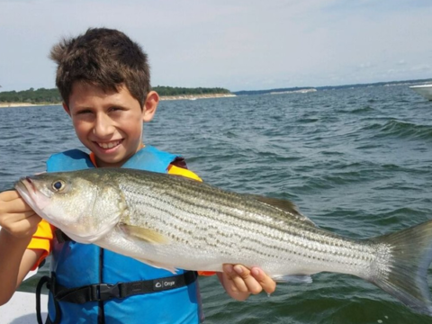 Lake Texoma Fishing Guides-Striper Express